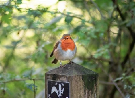 Home Warwickshire Wildlife Trust