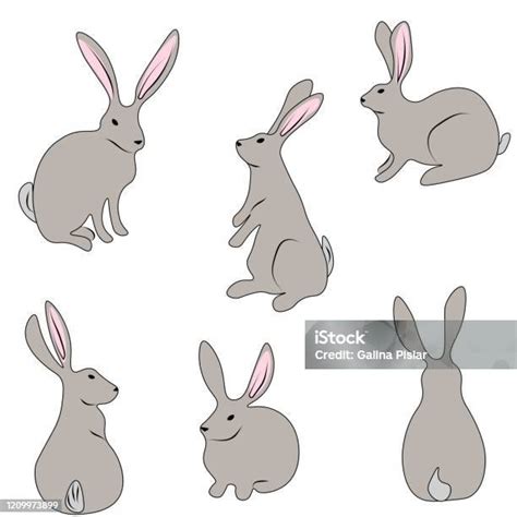 흰색 배경에 플랫 스타일의 귀여운 토끼 세트입니다 장식 및 디자인 어린이 책과 색칠 공부 책 포장 엽서 부활절 아기 직물을위한