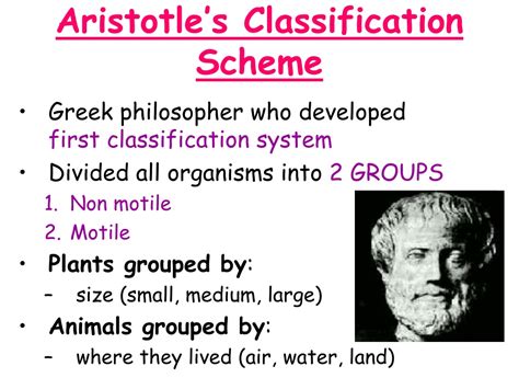 Aristotle System Of Classification At Victoria Thomason Blog