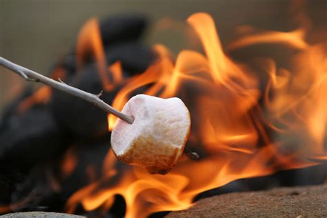 Marshmallows Chamallows Guimauves Smores