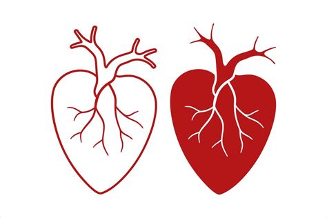 Cute Heart Shape Human Heart Icon Art Illustration 53107903 Vector Art At Vecteezy