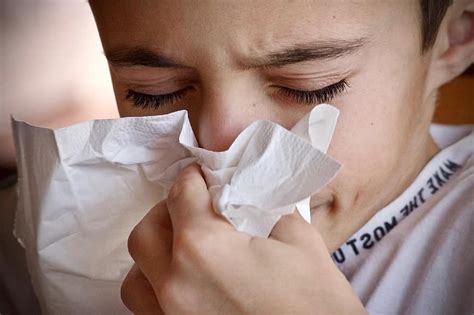 Are Polyps In The Nose Bad Polyps In Nose Nasal Polyps — Daily