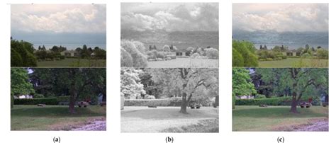 visible light and nir input and result images a visible image b