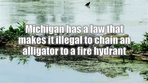 Weird Laws From Around The World