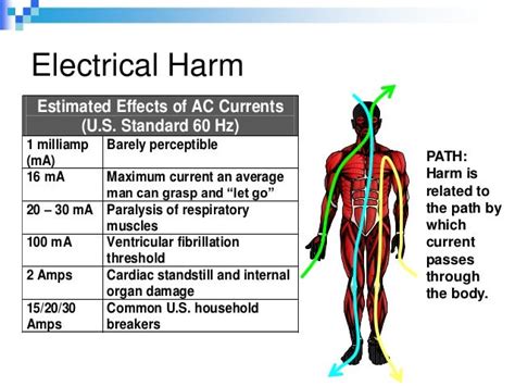 Electrical Safety13