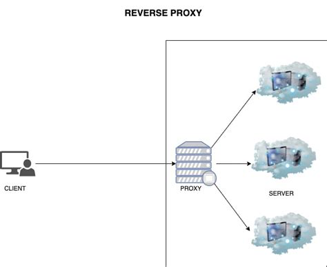 Proxy And Reverse Proxy Quick博客