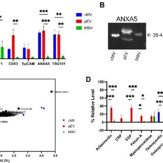 MiRNA Cargo Of CMV PEV And MBV Are Distinct A Hierarchically