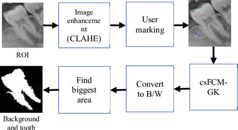 Figure 2 From Interactive Segmentation Of Conditional Spatial Fcm With