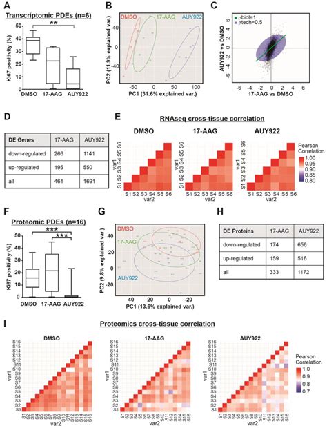 Transcriptomic And Proteomic Analysis Of Patient Derived Explants A Download Scientific