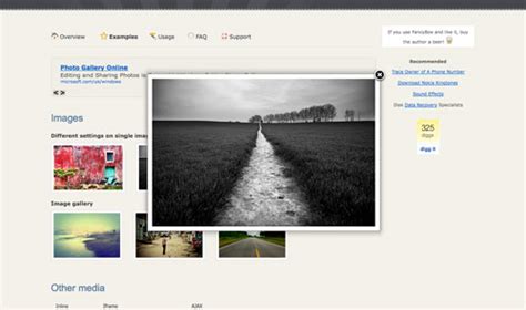 10个最佳jquery lightbox效果插件收集 jquery 效果插件boxer csdn博客