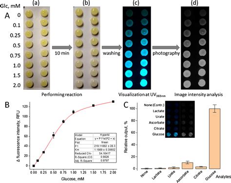 A Photos Of The Biosensing System Obtained At Different Steps Of Its