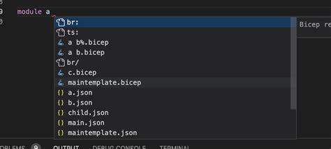 should module aliases come first in completion before local bicep json