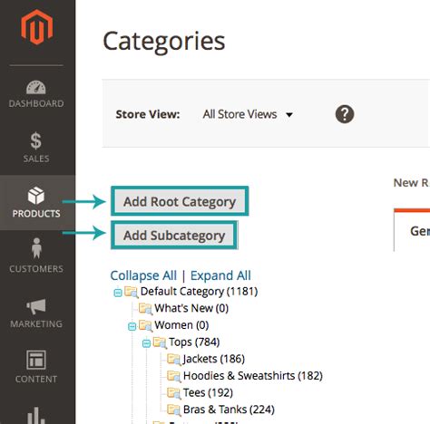 How To Create Categories In Magento Customer Paradigm