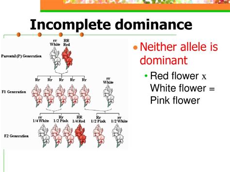 Mendelian Exceptions And Sex Linked Genetics Ppt Download