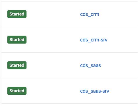 Consuming A Multi Tenant Capm Api From Another M Sap Community