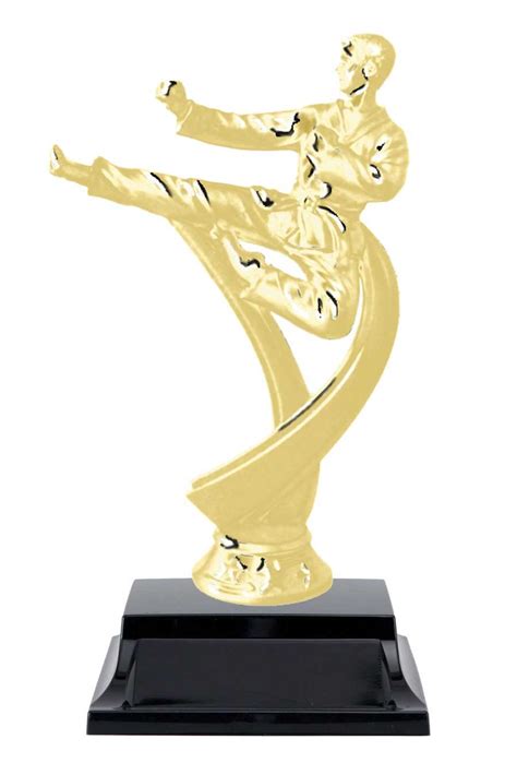 Karate Trophy 7 Includes Engraving — Trophy Gallery Canada Shop Online 5000 Awards Fast