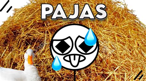 La Paja Youtube
