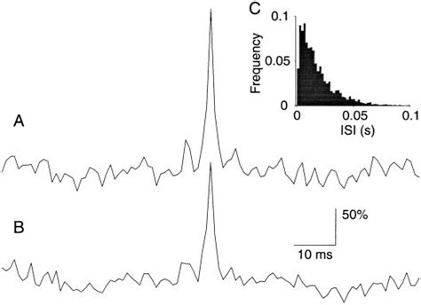 Homogeneity Of Synchrony Among Input And Output Ensembles Of Neurons