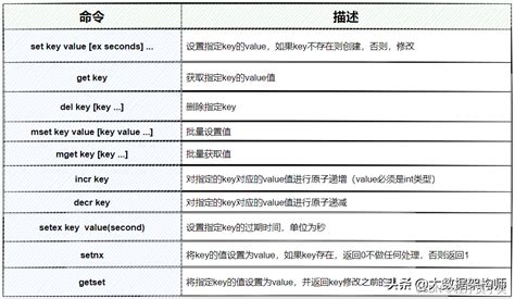 图解redis中的9种数据结构（高级面试，必备） redis高级数据结构 csdn博客