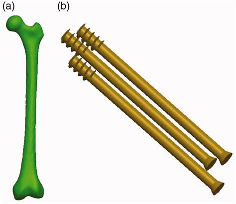 Constructing The Finite Element Model A Three Dimensional Model Of