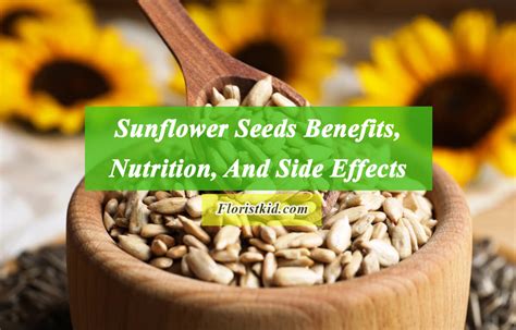 Sunflower Seed Benefits In Urdu At Christopher Lewis Blog