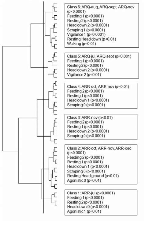 six class partition of the hierarchical cluster analysis based on the