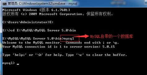 MySQL数据库忘记密码怎么办 婷婷学测试开发 博客园