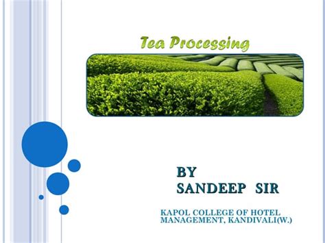 Tea Making Process Ppt