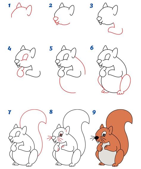 How To Draw A Squirrel Step By Step