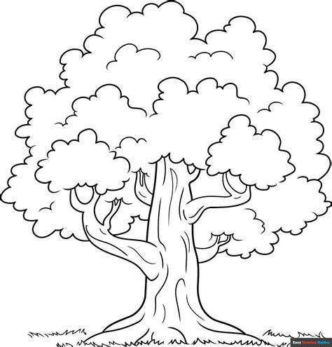 Tree Outline In 2025 Tree Outline Tree Drawing Trees Drawing Tutorial