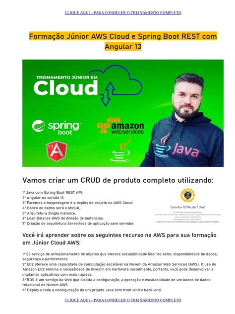 formação júnior aws cloud e spring boot rest com angular pdf