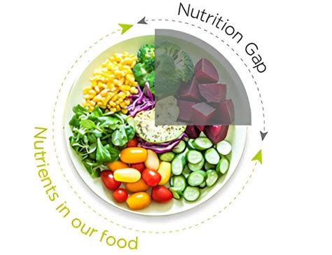Food Preference Questionnaire For Nutritionist Meal Planning