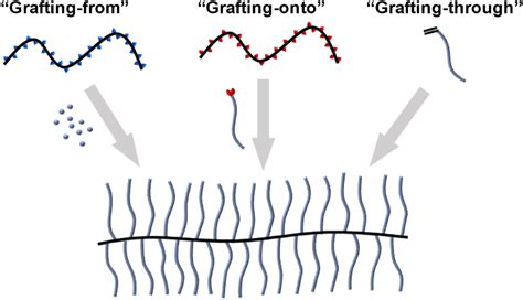 Ring‐opening Metathesis Polymerization For Synthesizing Molecular Bottlebrushes Via The Grafting