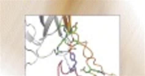 Phylogenomic Analysis Of 11 Complete African Swine Fever Virus Genome Sequences