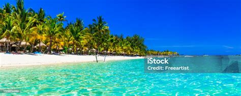 완벽한 열대 휴양지 멋진 모리셔스 섬에서 휴가 하얀 모래 해변과 청록색 바다 모리셔스에 대한 스톡 사진 및 기타 이미지 모리셔스 해변 0명 Istock