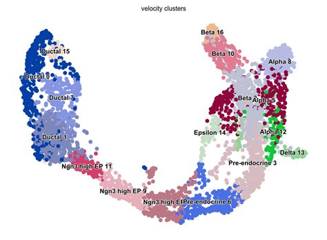 scvelo tl velocity clusters — scvelo documentation