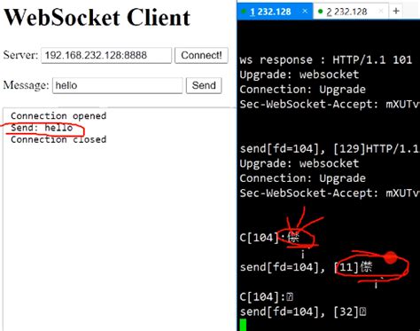 Linux Cc Websocket协议与服务器实现c Websocket服务器 Csdn博客