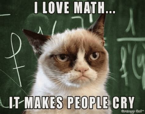 18 Math Teacher Memes That Just Make Sense Funny Cat Teacher Quotes
