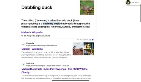 Bing Doesnt Update Search Results After 2 Days While Some Search