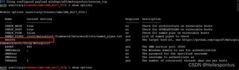 信息系统安全——基于 Kali 和 Metasploit 的渗透测试使用metasploit Framework进行渗透测试使用kali做网络安全实验 Csdn博客