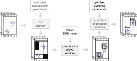 Diagram Of The Bee Detection System Download Scientific Diagram