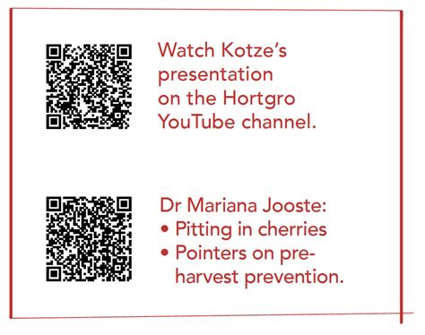 Preventing Pitting In Cherries Sa Fruit Journal