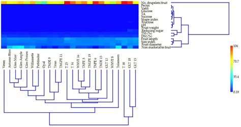 hierarchical clustering analyses of the 24 raspberry genotypes 14
