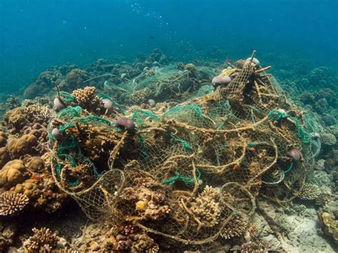 What Are Ghost Nets Elastec