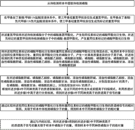 Phospholipid Classification Detection And Quantification Method Based