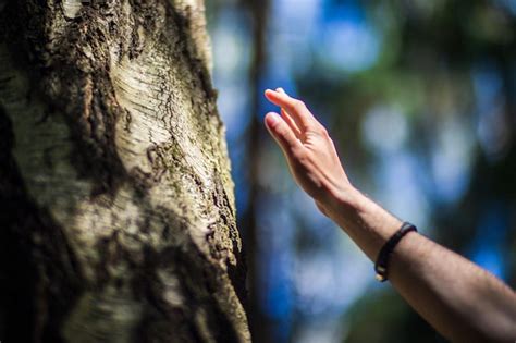 La Main Dun Homme Touche Le Gros Plan Du Tronc De Larbre Bois D