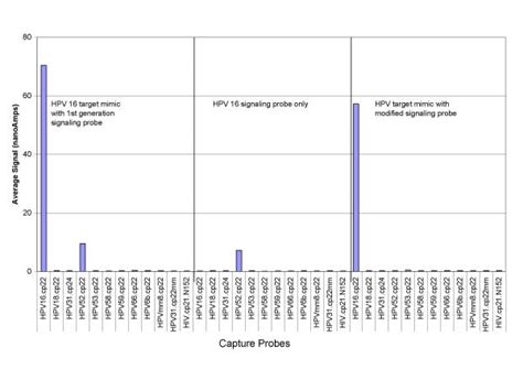 Hpv 16 Signaling Probe Optimization The Hpv Esensor™ Chip Was