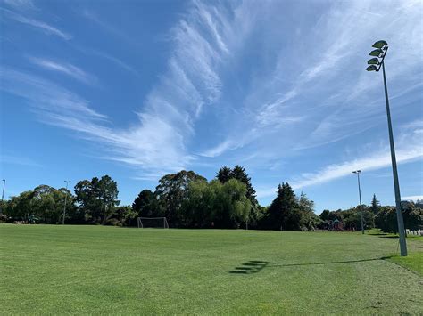 Nelson Sports Field Capacity Review Xyst Au