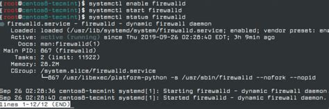 initial server setup with centos rhel 8