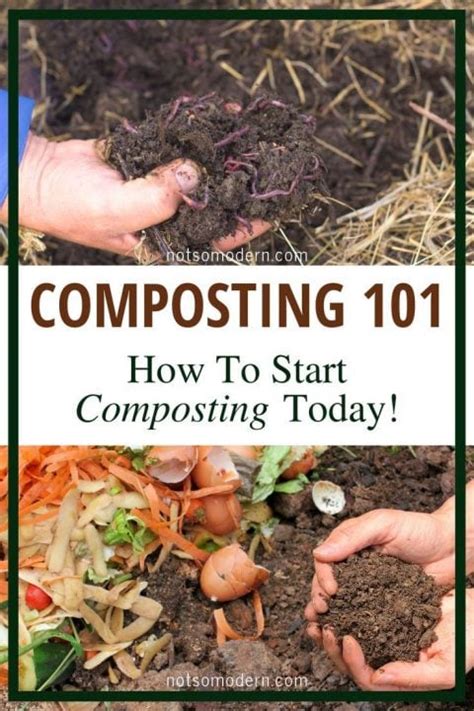 Composting 101 How To Start Composting